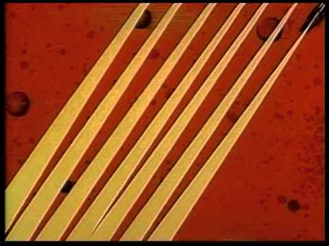 Rocket Robin Hood (1966) titles