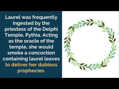 Laurel Wreath, Its Meaning and Origins As a Symbol