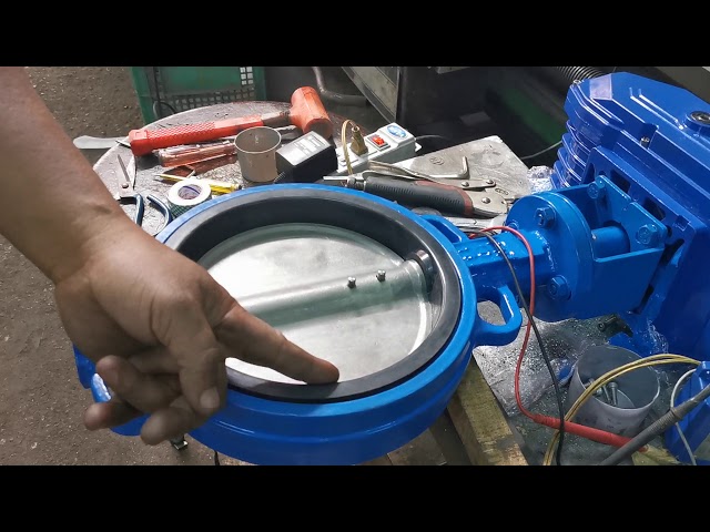 Leader Valves - LEADER MAKE Cast Carbon Steel Butterfly Valve Trader ...