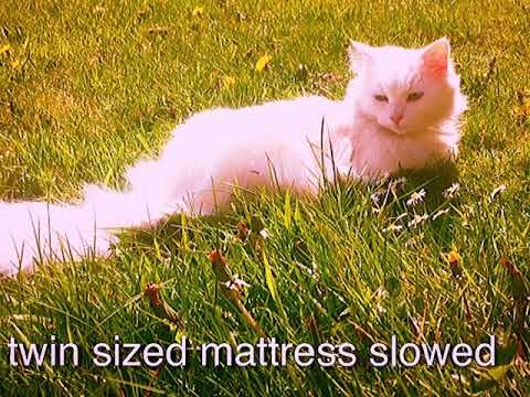 twin sized mattress - the front bottoms (slowed + reverb)
