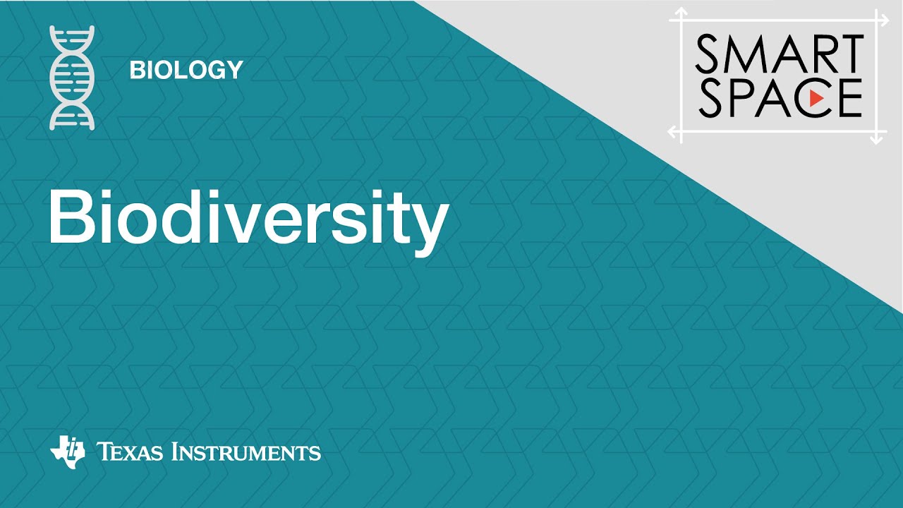 Biodiversity: Biology Video Lesson