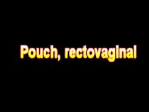 What Is The Definition Of Pouch, rectovaginal Medical School Terminology Dictionary