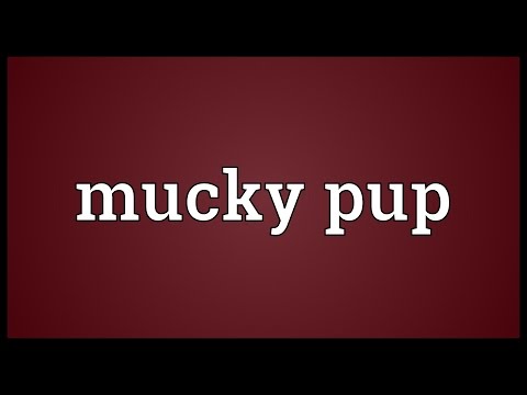 Mucky pup Meaning