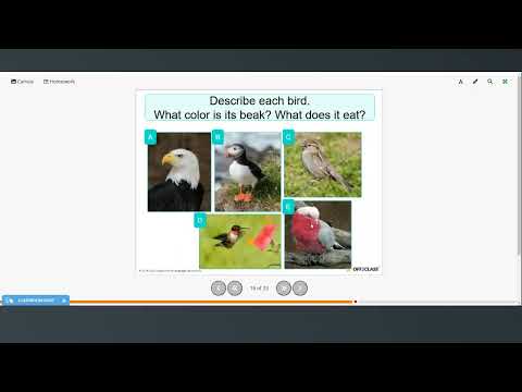 Bird Vocabulary for B1 ESL Learners | Words for Members of the Avian Class of Animals