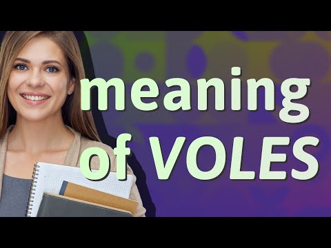 Voles | meaning of Voles