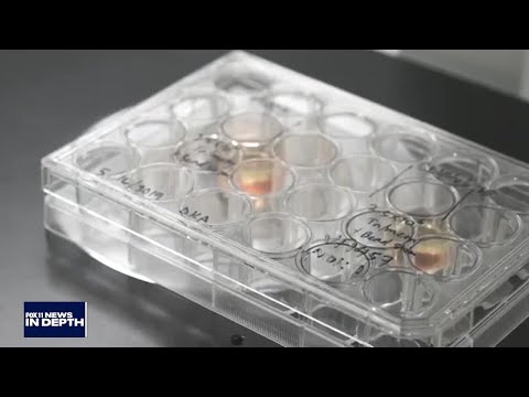 In Depth: Regenerative medicine