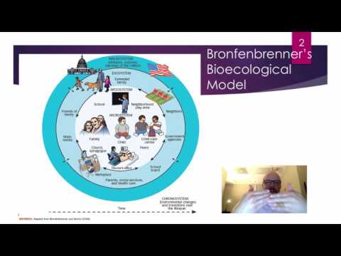 Brofenbrenner's Ecological Theory