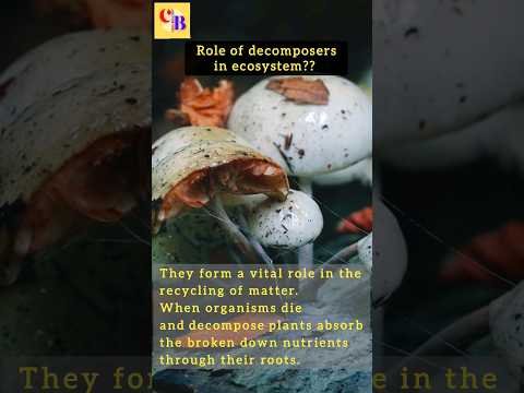 Role of decomposers in ecosystem #decomposers #shorts #class10biology