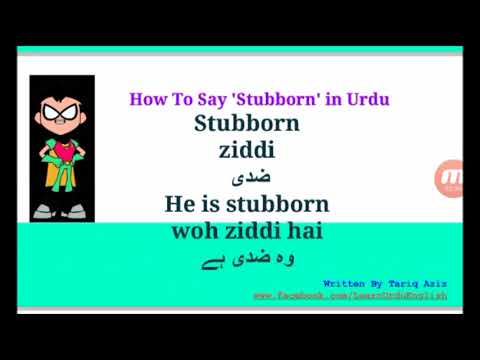 Stubborn In Urdu - Learn Urdu Vocabulary
