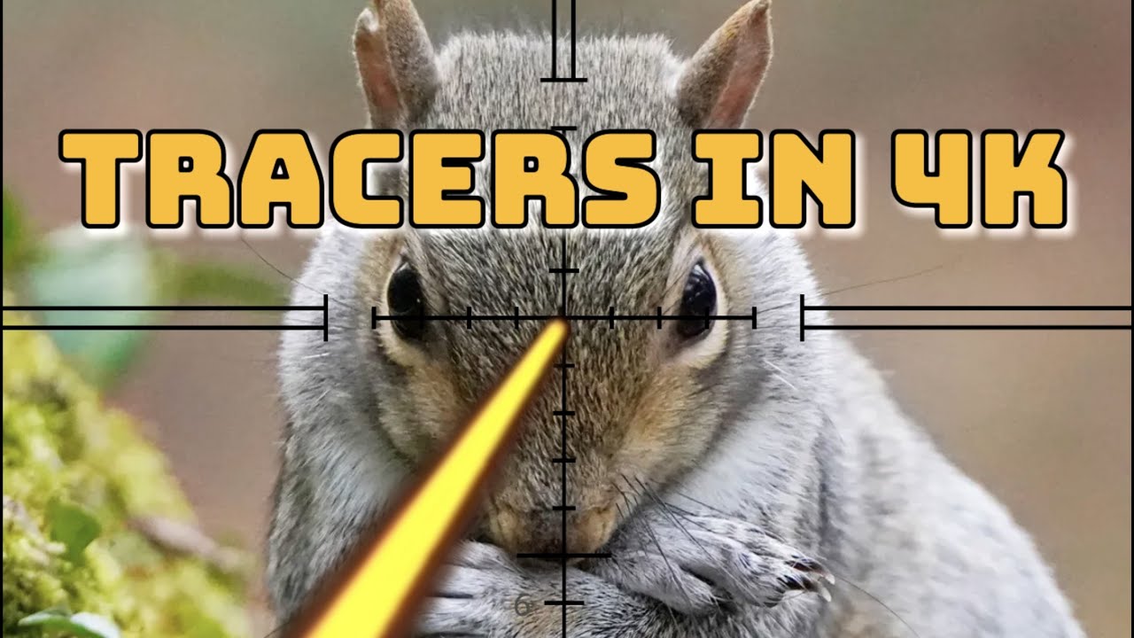 Slow-Mo Tracers... 7.62 vs 5.56