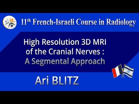 High Resolution 3D MRI of the Cranial Nerves: A Segmental Approach - Ari BLITZ