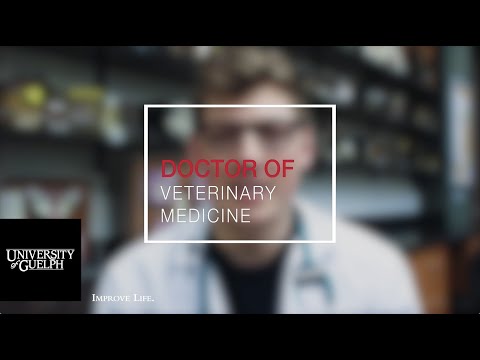 Eastman, Doctor of Veterinary Medicine