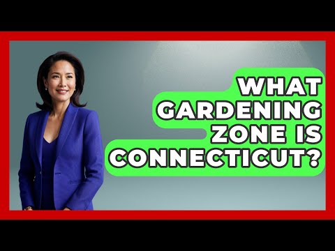 What Gardening Zone Is Connecticut? - The Plant Enthusiast