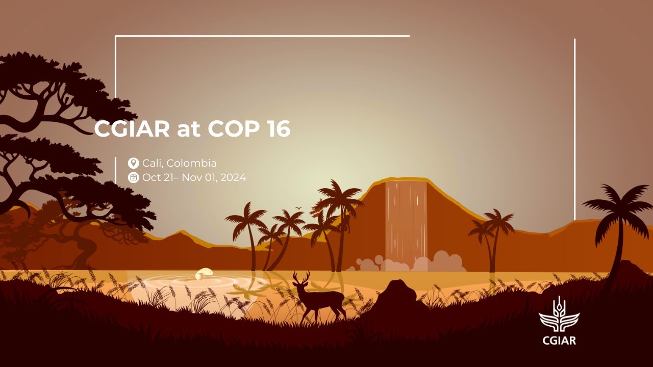 Food Systems for People and Planet: How True Cost Accounting can offer a Roadmap toward Solutions