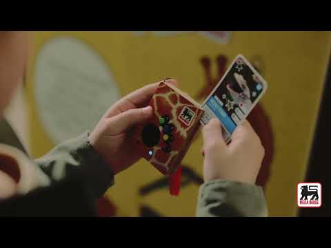 Expeditie in jurul lumii | Boxa Zoo expeditie in jurul lumii | Mega-image