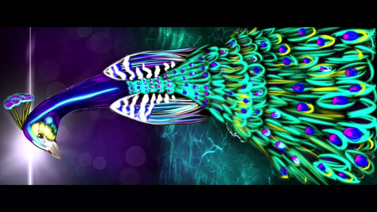 Speedpaint Peacock. First ever speedpaint.