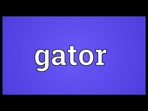 Gator Meaning