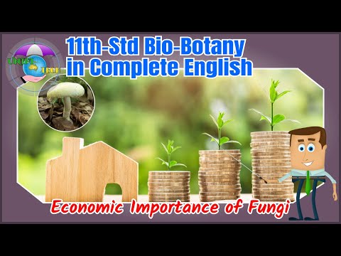 11th Std | Bio-Botany | 1.5.5 | Economic Importance Of Fungi | Complete English