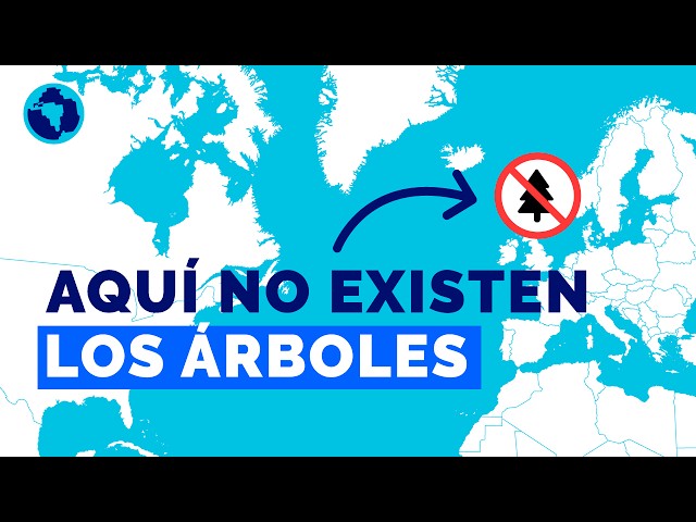 Descubre 'Un Mundo Inmenso': Un canal para que tus hijos exploren la ...