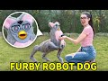 This Robotic Furby Is Absolute Nightmare Fuel - Nerdist