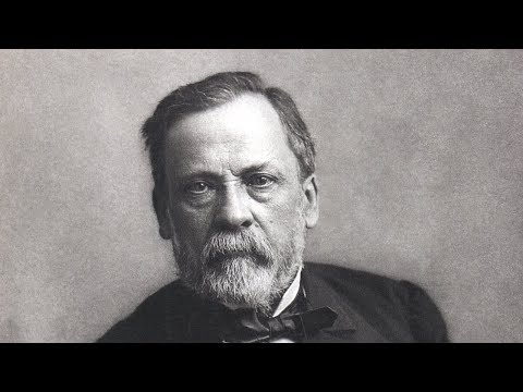Scientist vs. Scientist #7 - Alexander Fleming and Louis Pasteur