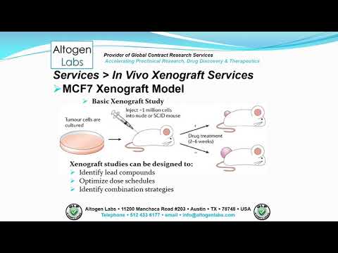 Altogen Labs MCF7 Xenograft Service Breast Cancer
