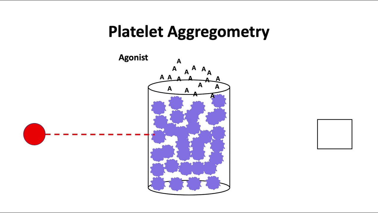 Platelet Aggregometry