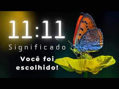 🦋11:11 Horas Iguais SIGNIFICADO ESPIRITUAL | SINCRONICIDADE 🕙