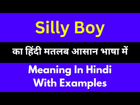 Silly boy meaning in Hindi/Silly boy का अर्थ या मतलब क्या होता है.