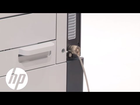 Safeguard Your Device | HP