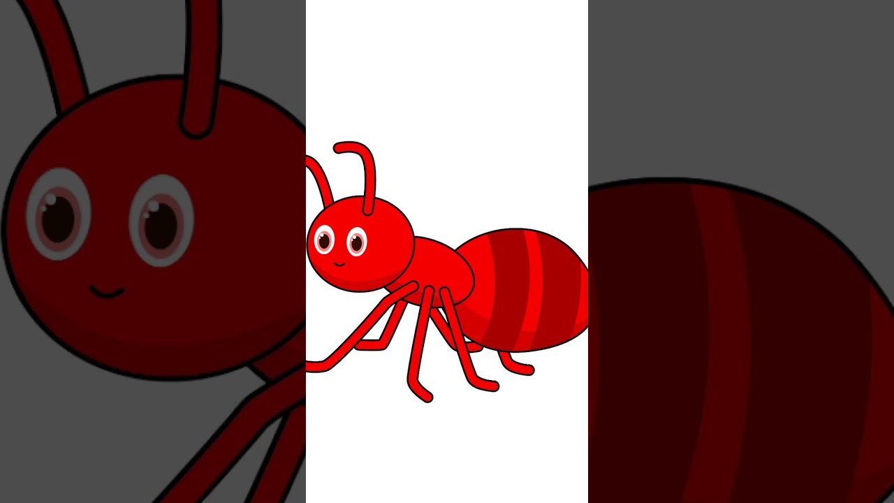 learning #.ant # color # trending # viral