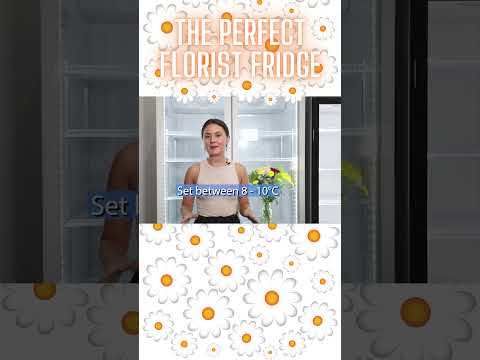 Here's How to Buy a Florist Fridge