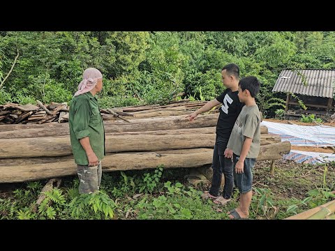 Unexpected good news from the policeman, how will Minh's journey to buy a wooden house frame be?