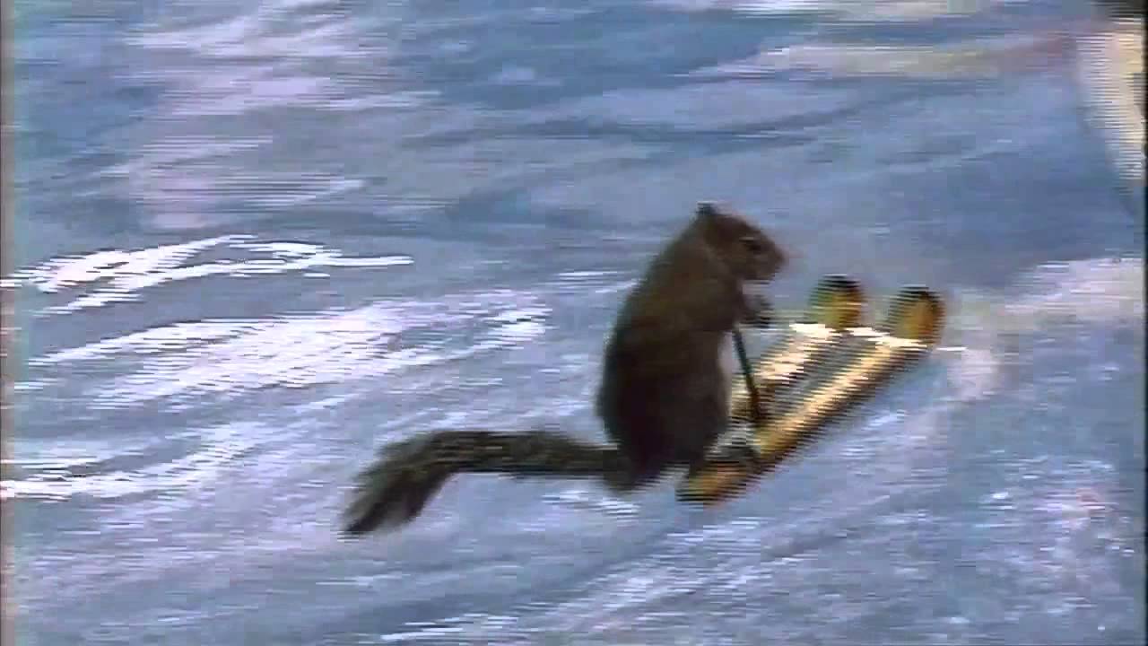 Nutty The Squirrel Can Waterski - Anchorman: The Legend of Ron Burgundy (2004)