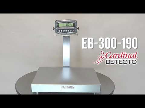 EB-300-190 Bench Scale Demo Video (SPANISH)