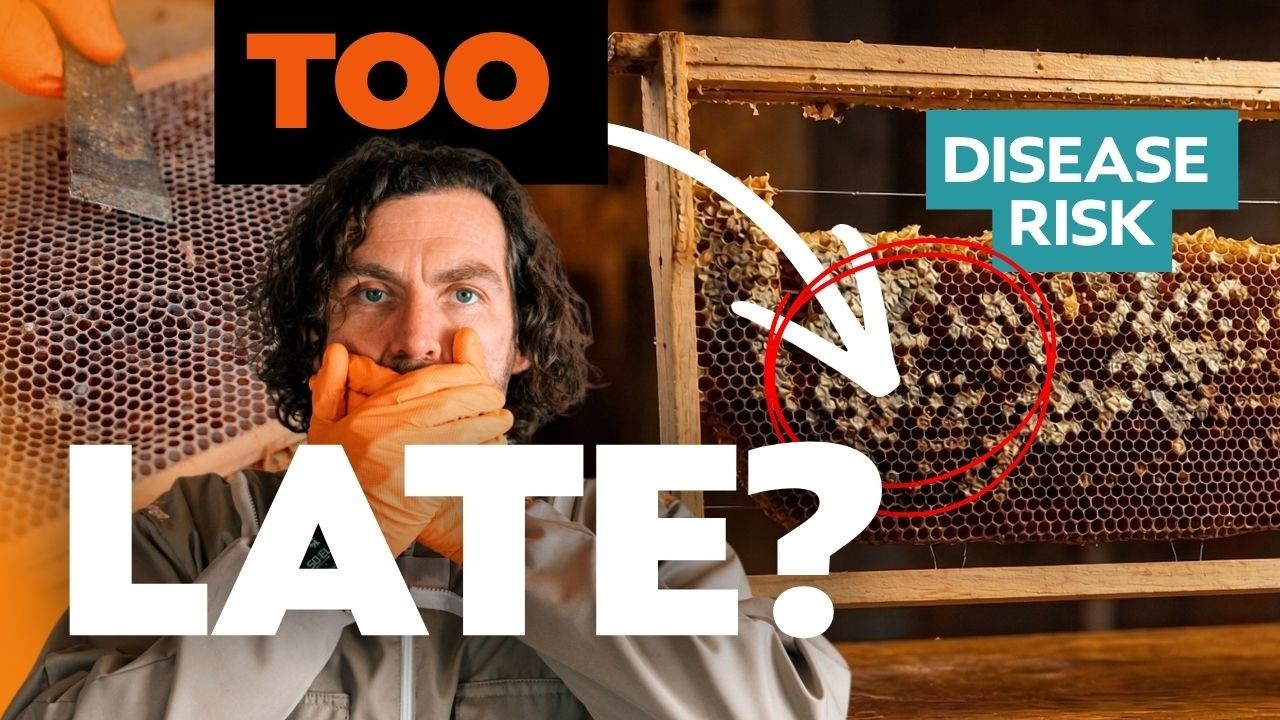 When Should You Replace Brood Frames? The Answer Most Beekeepers Miss
