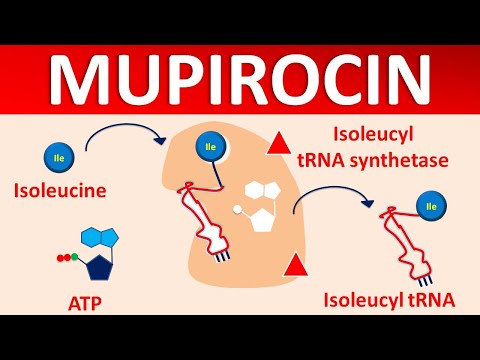 Mupirocin - Mechanism, side effects, precautions & uses