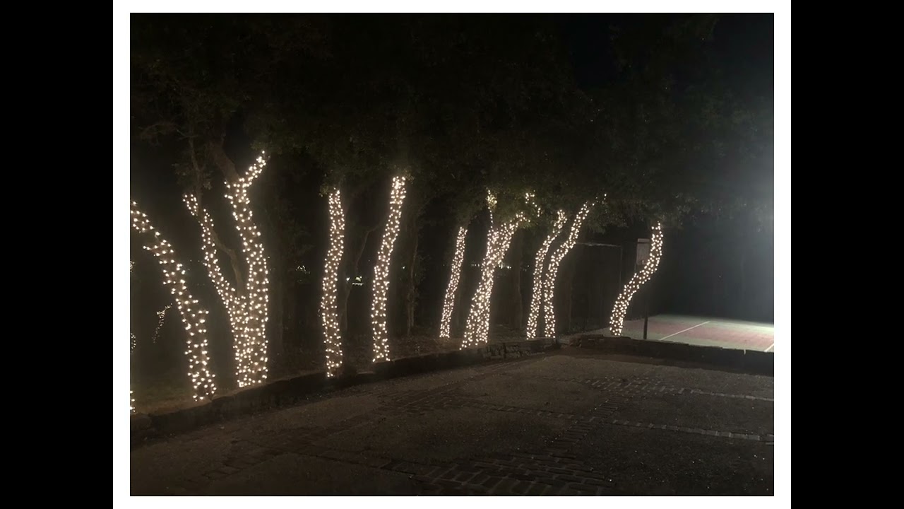 George Straits House, Christmas Light Installation done by Vision Landscaping, 2021