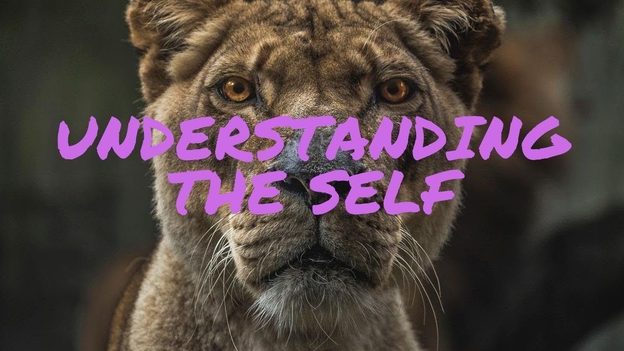 Understanding the Self Introduction Chapter 1