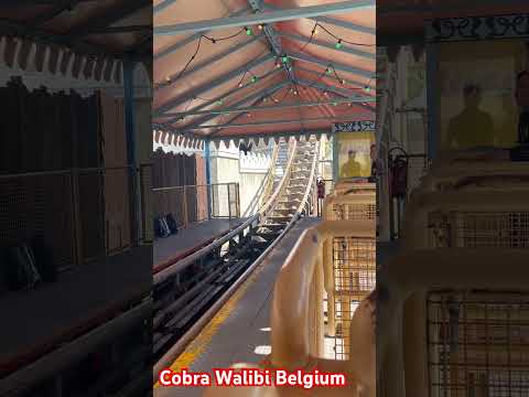 Fly through of Cobra @walibibelgium #shorts #rollercoaster
