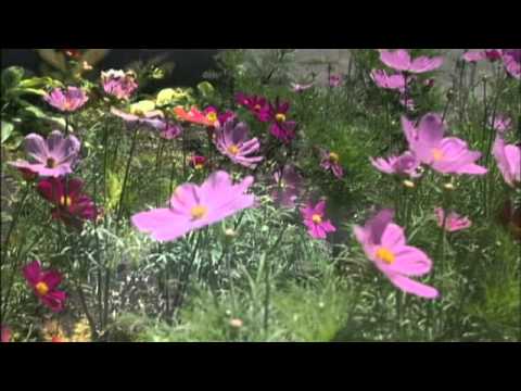 Pine Ridge Memorial Gardens (Ajax, Ontario) Tour