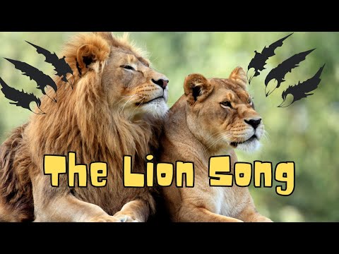 The Lion Song | Animal Songs for Kids | Fun Lion Facts | Silly School Songs