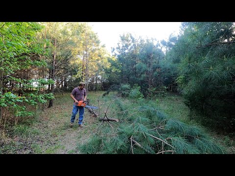 Widening Farm Road | Operation Don't Scratch The Paint | Cutting Trees and Dodge M43