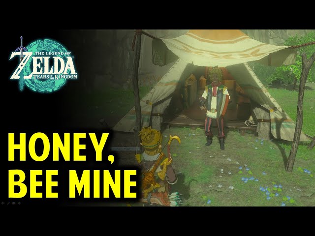 How to complete the Honey Bee Mine side quest in the Legend of Zelda ...