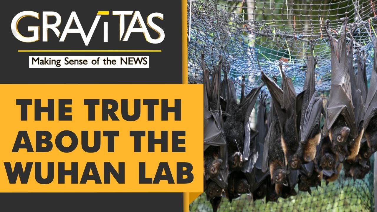 Gravitas: Caught On Camera: Bats locked up inside the Wuhan lab