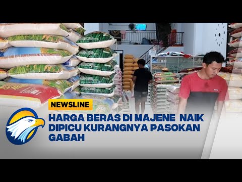 Harga Beras di Pasar Majene Melambung Tinggi - [Newsline]