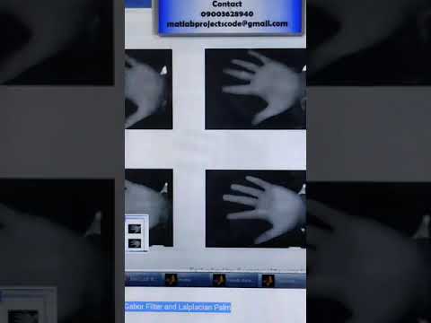 Human Identification Using Palm-Vein Images Using Gabor Filter and Lalplacian Palm