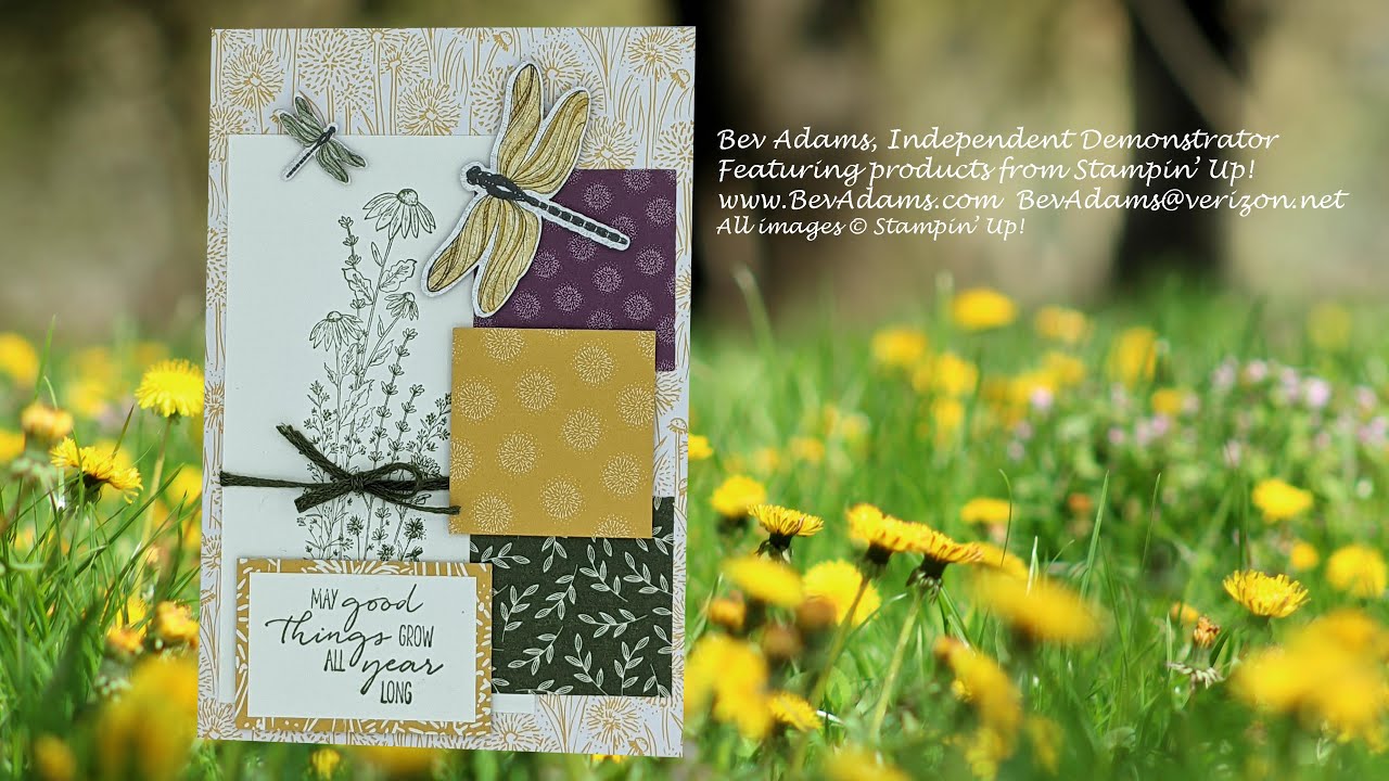 Dragonfly Garden, a CASE'd Card