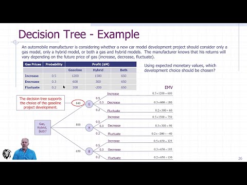 Decision Trees for Risk Management
