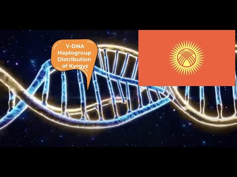 Y-DNA Haplogroup Distribution of Kyrgyz